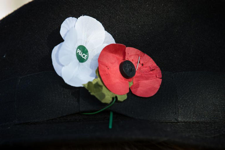 Every colour of poppy and what they mean this Remembrance Sunday