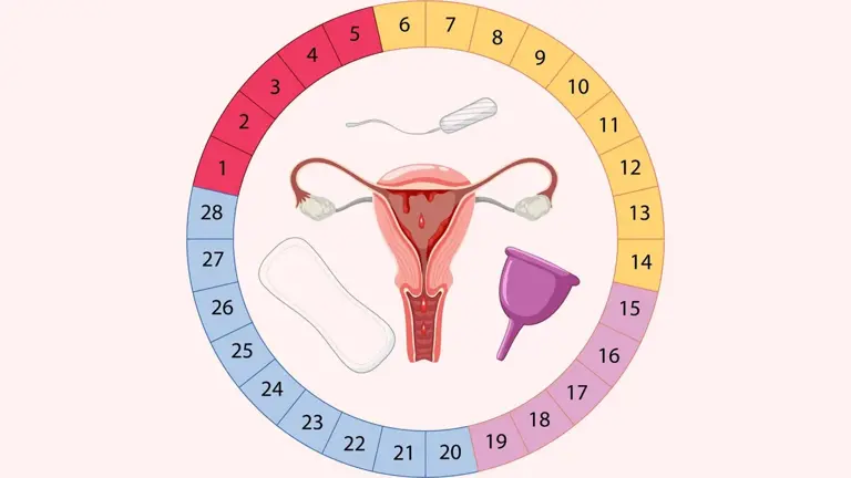 Are your periods irregular? You could have anovulation or ...