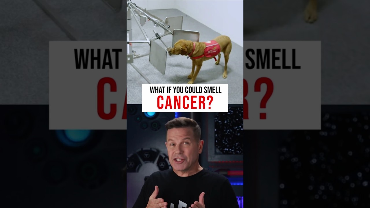 What if humans could actually smell cancer?