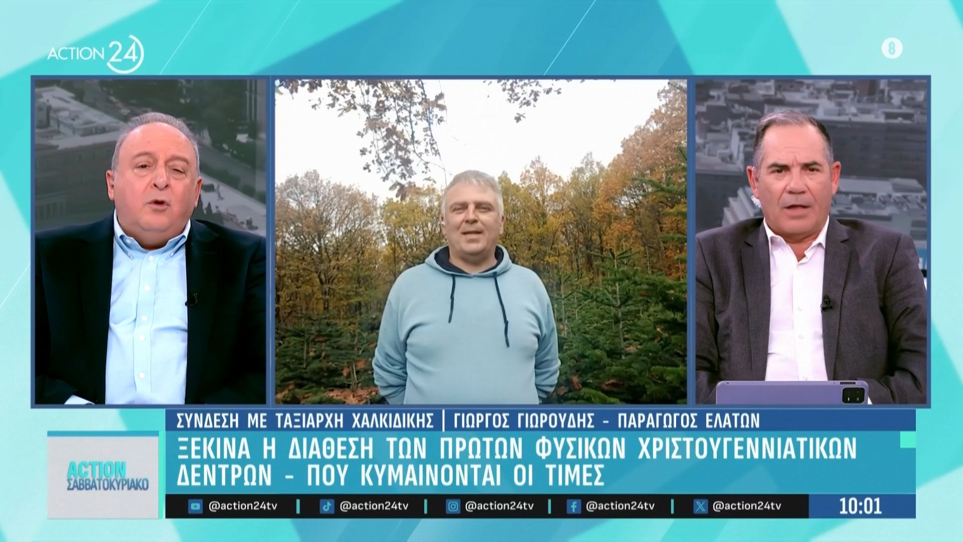 Ξεκινά η διάθεση των πρώτων φυσικών χριστουγεννιάτικων δέντρων – Που ...