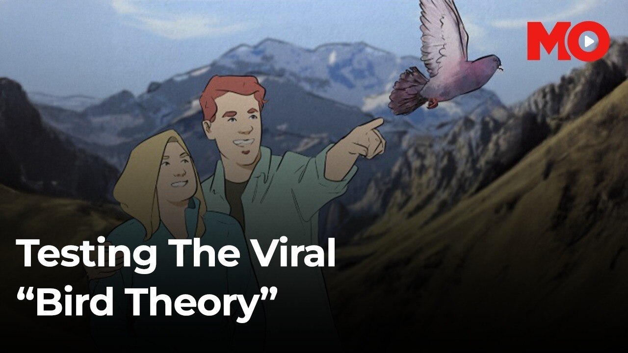 What is the viral bird theory that couples om the internet are testing ...