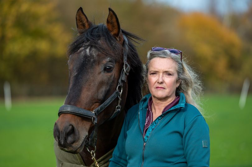 Horse breeder near 'racing HQ' baffled by noise complaint over ...