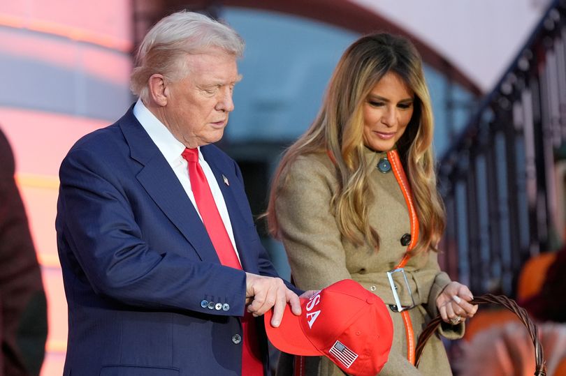 Melania's inspiring 5-word message to Trump before he ran for president