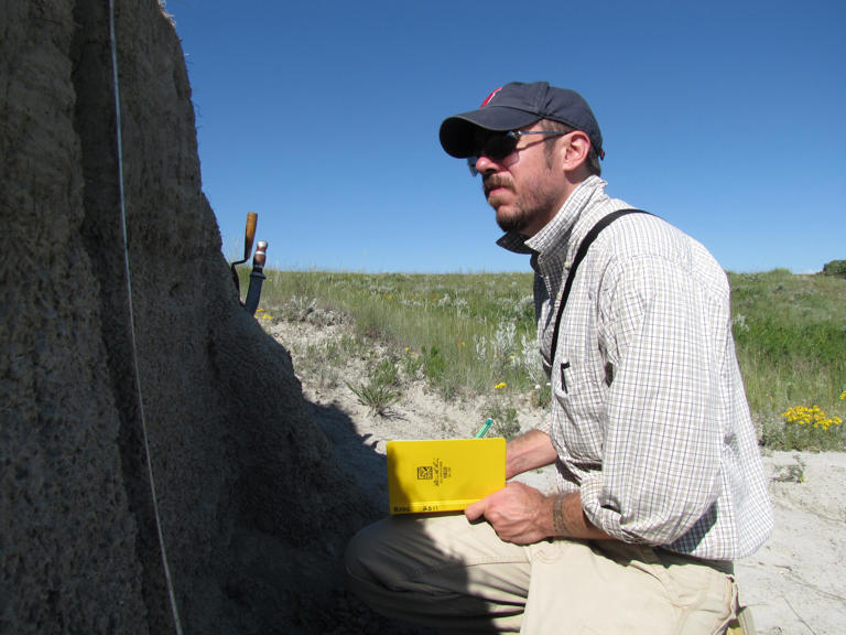 Tree rings reveal how Apache people used fire to shape and protect ...