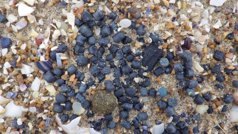 MP submits petition to ban plastic bio-beads