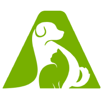 Le premier vol du jet supersonique « silencieux » de la NASA : première ...