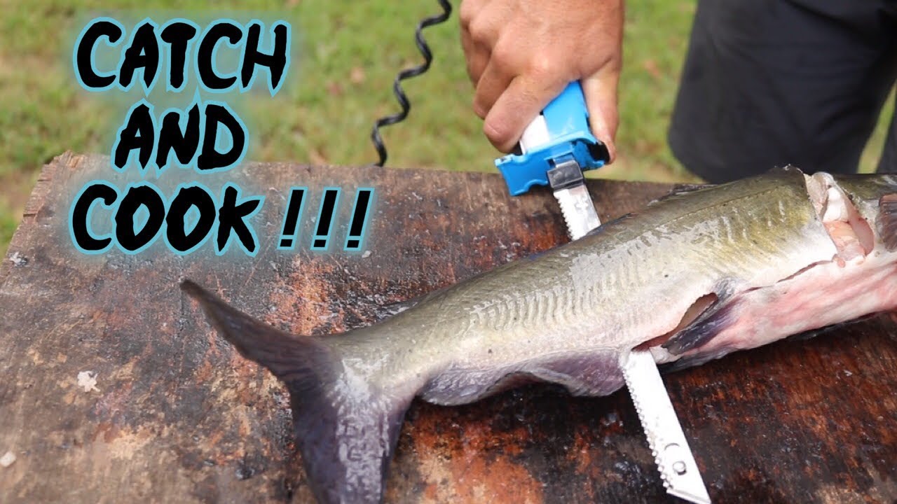Catching and cooking channel catfish fillets