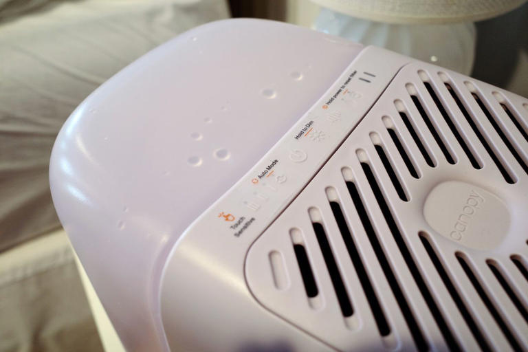 I suffer from a scratchy throat every winter, but this humidifier ...