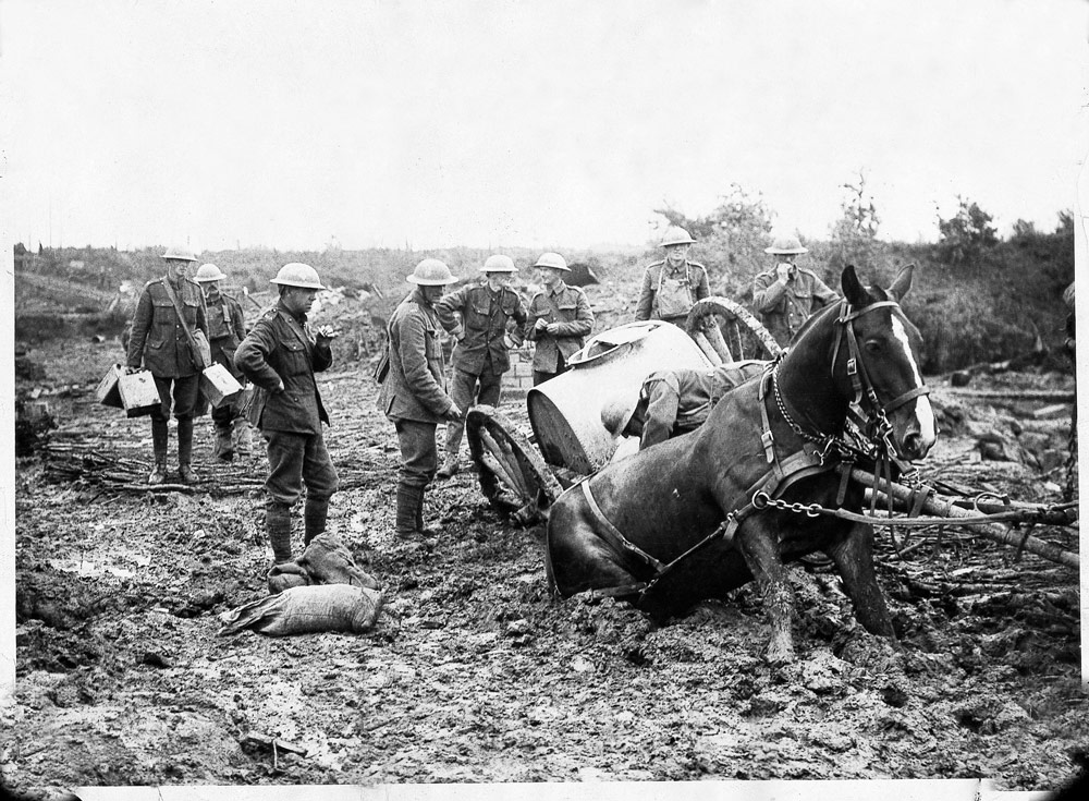 Skilfully restored WW1 photo book evokes the horror of the trenches