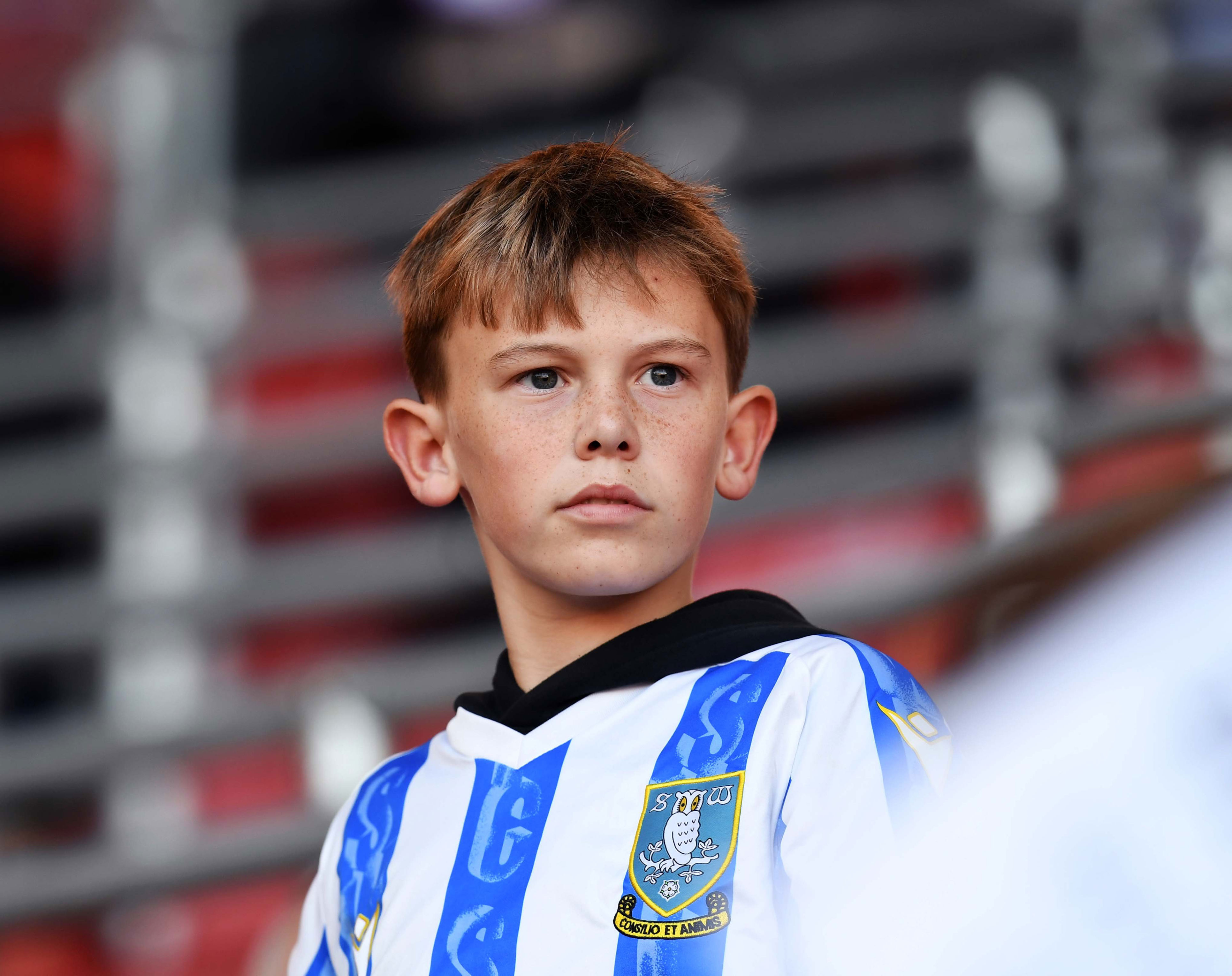 26 amazing Sheffield Wednesday fan photos as Owls fans do their thing again