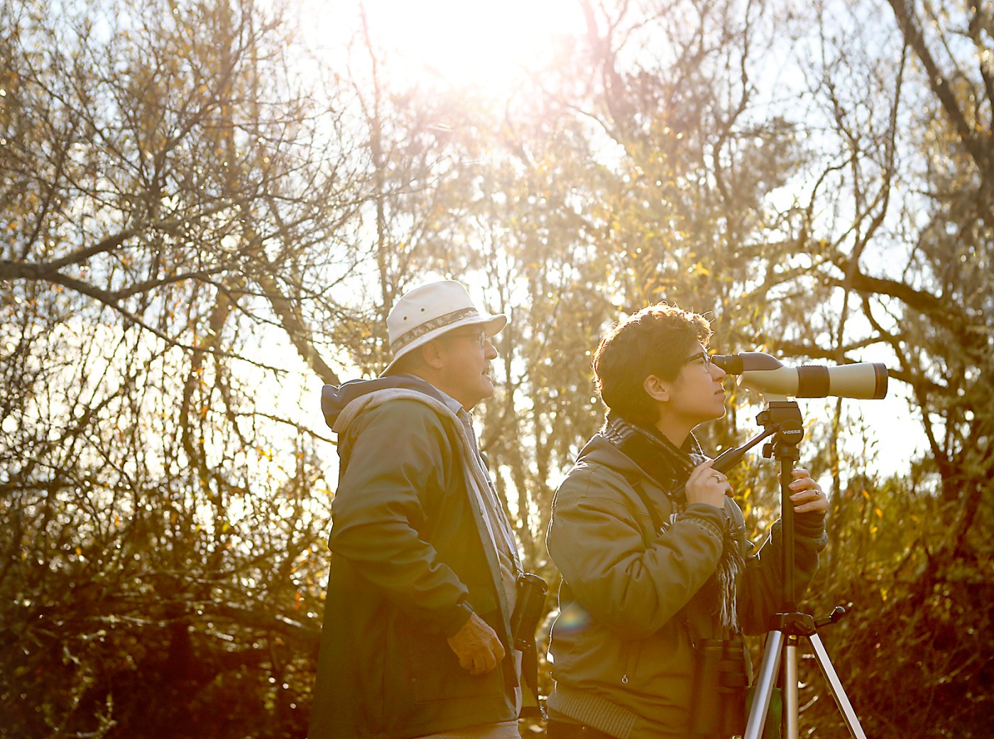 Santa Cruz County calling upon artists to create piece for Pace Trails ...