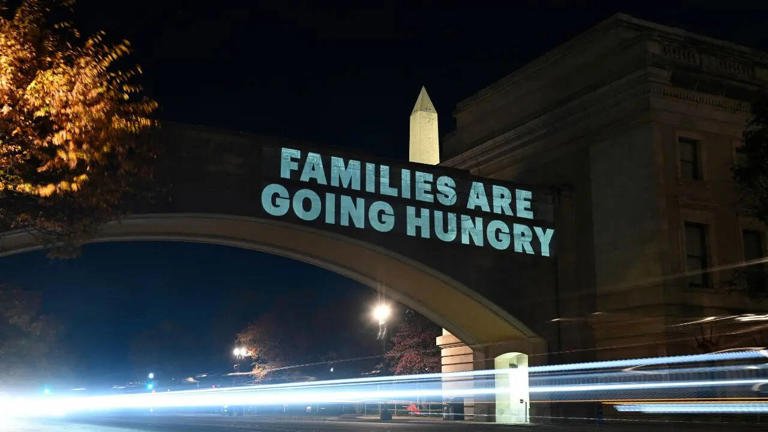 SNAP Chaos: Will Americans Lose Their Food Stamps This Month?