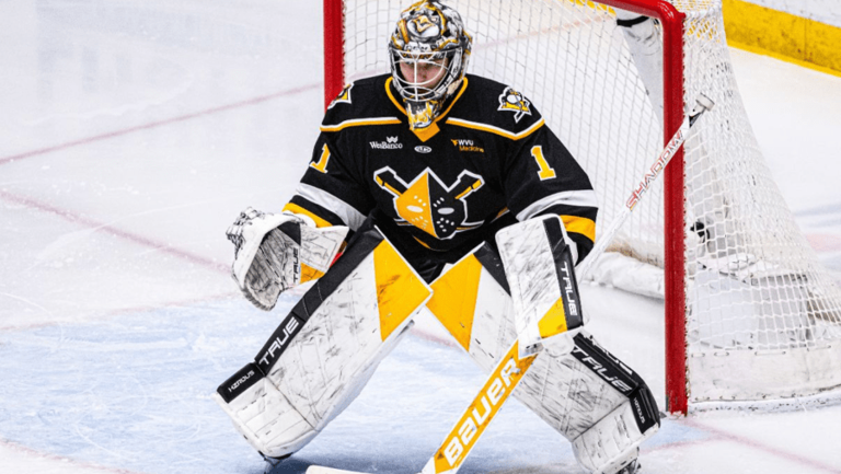 Former Wheeling Nailer Sergei Murashov makes NHL debut with Penguins