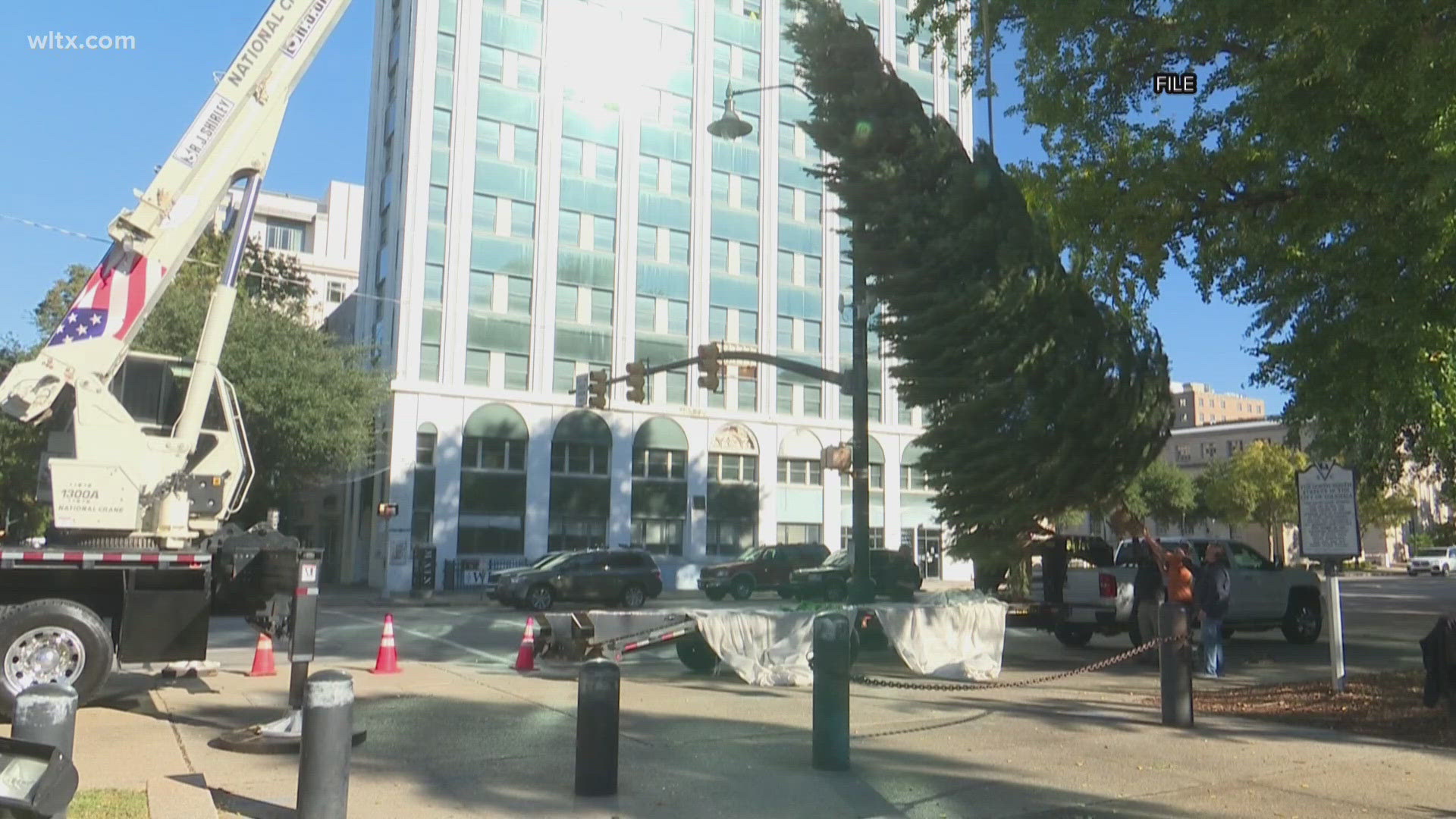 South Carolina’s State Christmas Tree arrives Monday morning