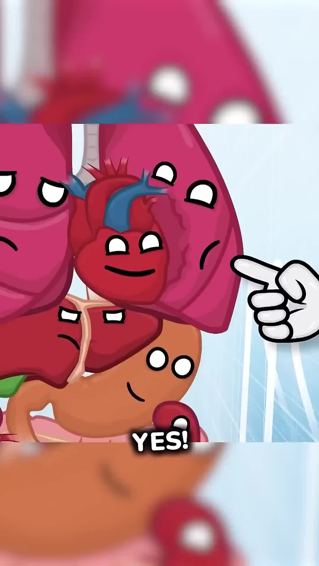 My body's secrets revealed in animation!