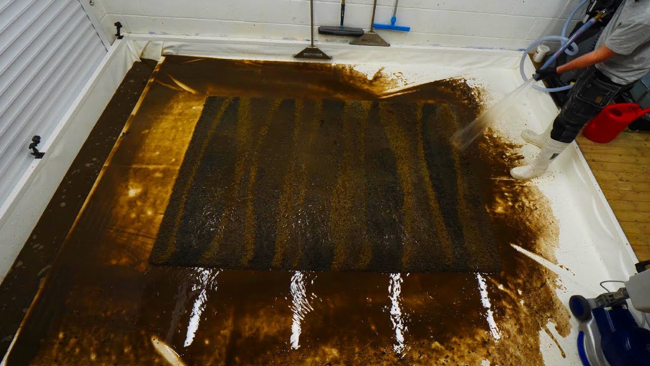 How this flooded rug went from gross to gorgeous