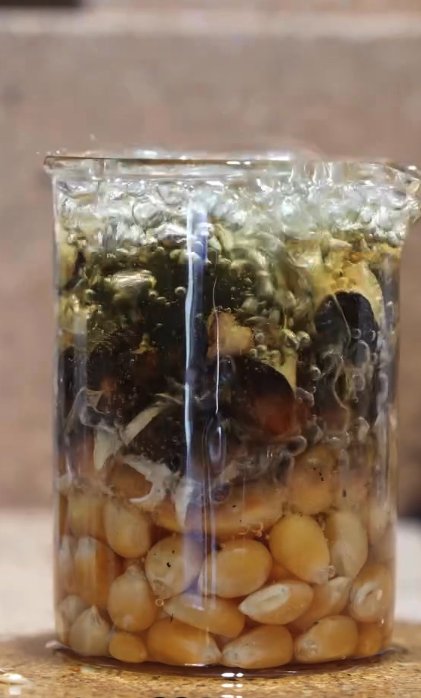 Making a singular serving of popcorn