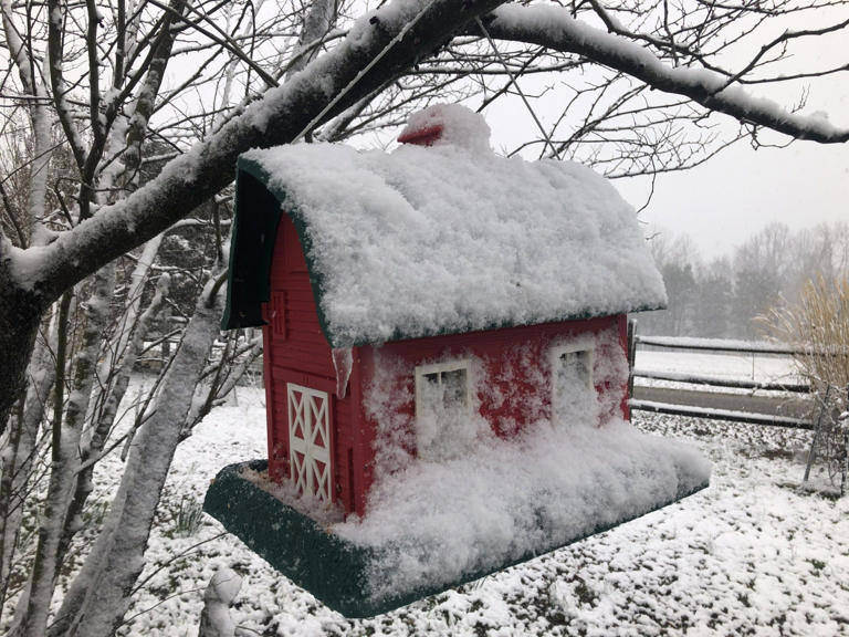 NWS issues freeze watch for parts of Virginia. Will it snow around ...