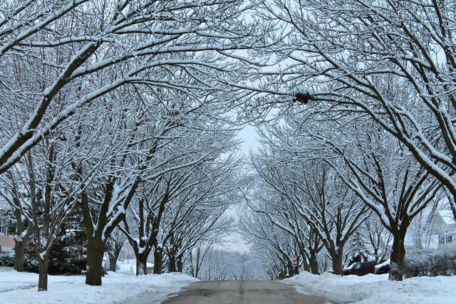 Cronología de tormenta invernal: a qué hora caerá más nieve en Chicago