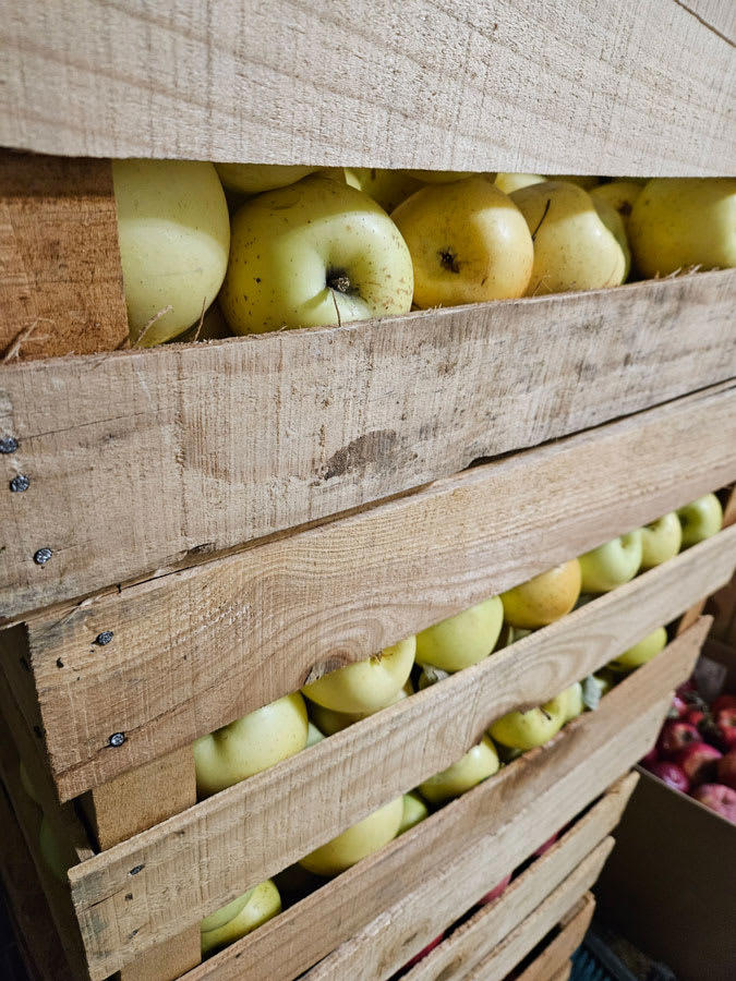 Preserving your harvest: The essentials for long-term storage