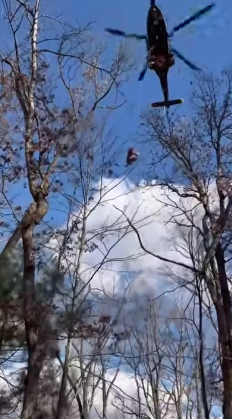 Helicopter Rescue Saves Hunter After Tree Stand Fall In Western ...