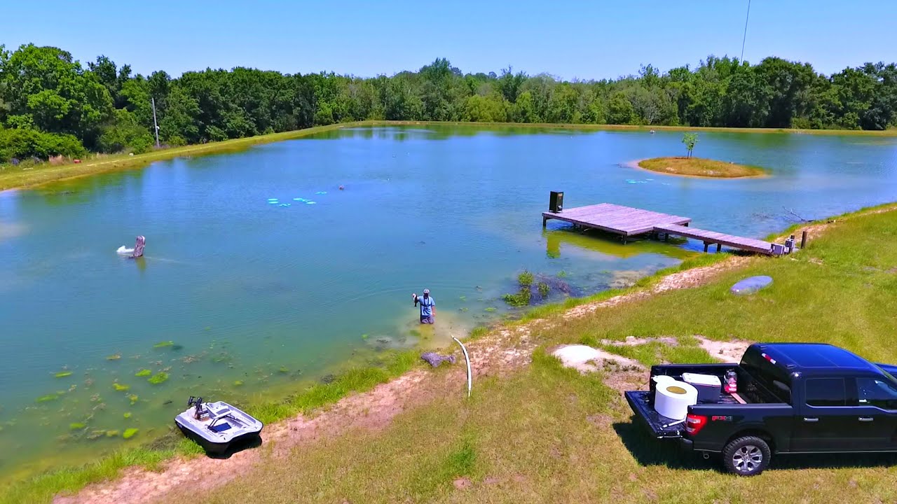 I released my pet bass into the pond!🐟