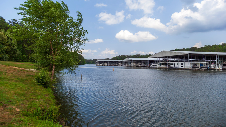 Three Swimming Beaches Set This Underrated Tennessee State Park Apart ...