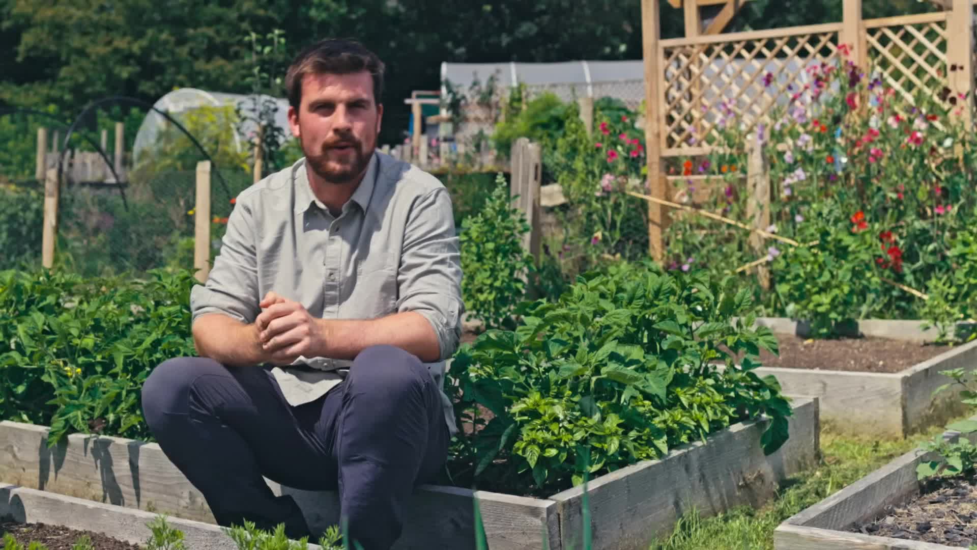 10 easy tricks to keep slugs away