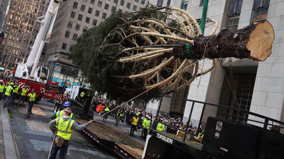 Rockefeller Center Christmas tree arrives in Manhattan, kicking off New ...