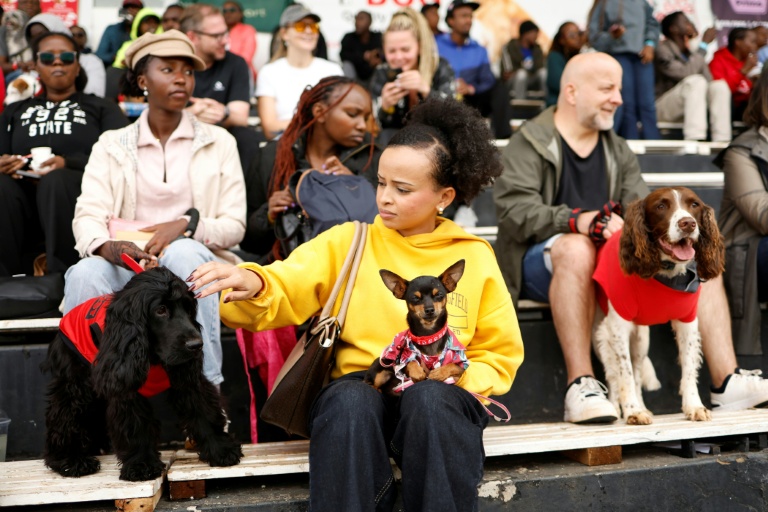 Paws on parade: Nairobi's dogs dazzle at 'Pawchella'