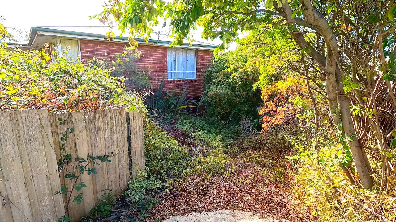 Overgrown for 10 years: watch me tackle this!