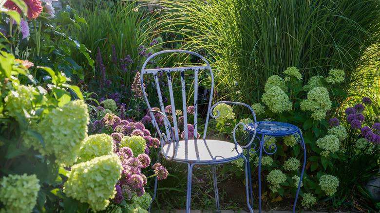 26 Vintage Garden Flowers That Never Go Out Of Style