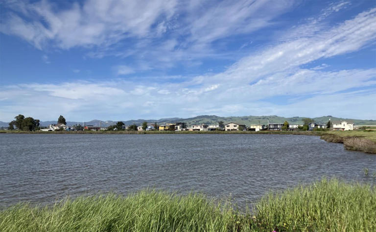 Sea Level Rise, Part 1: High tides and an upstream battle on the Napa River