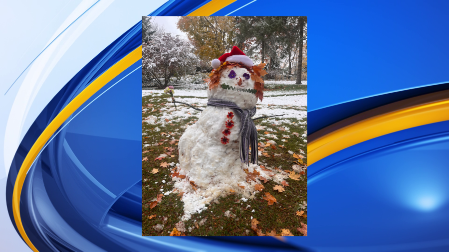 Photos: Mid-Michigan sees first snowfall of season