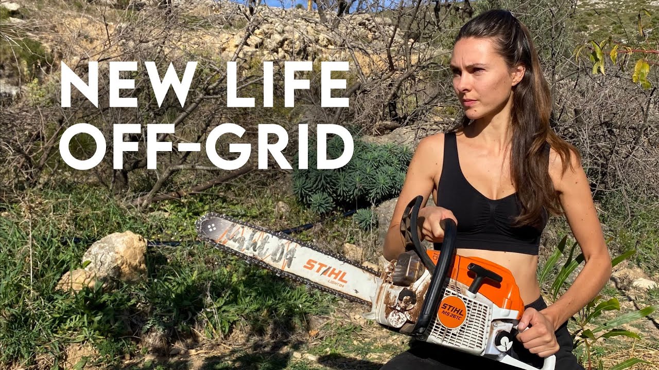 How we built a food forest off-grid