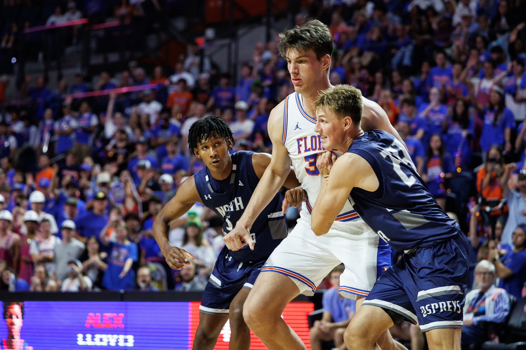 ‘An Actual Giant!’ Record-Breaking 7-Foot-9 College Basketball Player ...