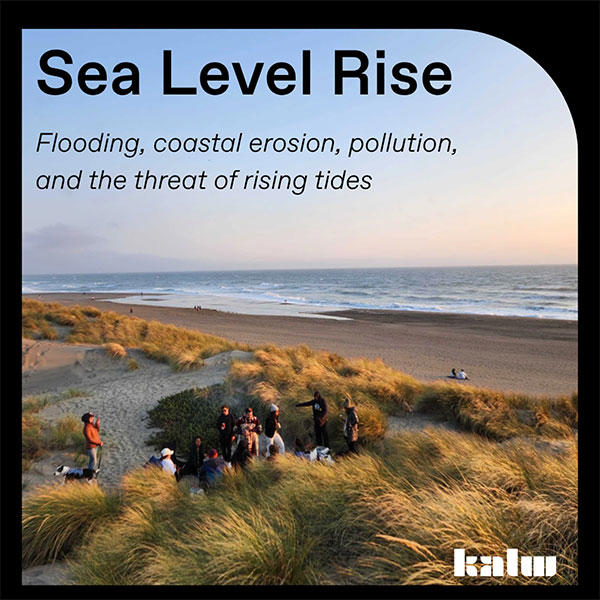 Sea Level Rise, Part 1: High tides and an upstream battle on the Napa River