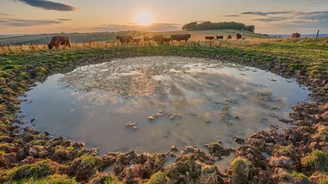 Researchers make stunning discoveries inside ancient man-made ponds ...