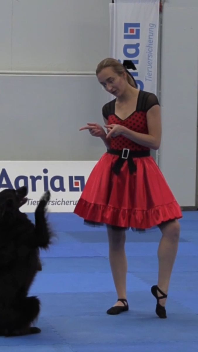 Meisterschaft im Dog Dancing: Wenn Hund und Mensch das Tanzbein schwingen