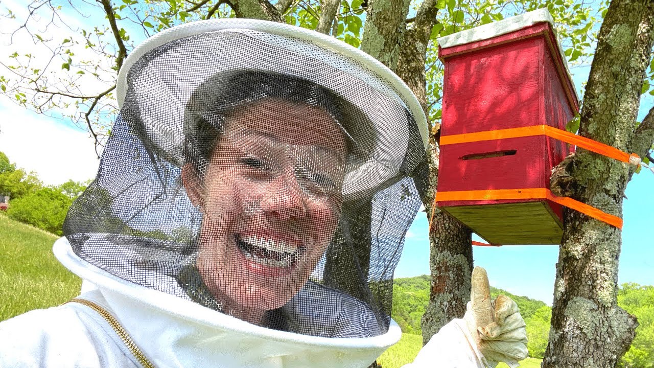 Catch your own free bees! (Building swarm traps)