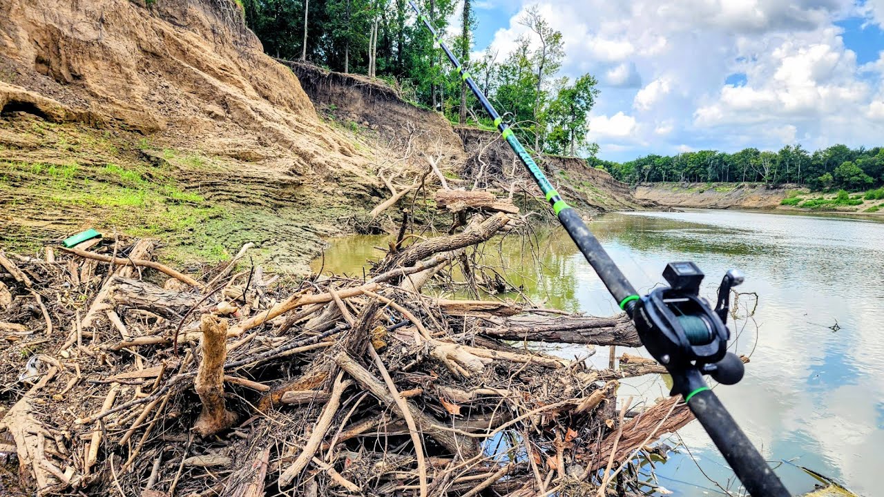 How brushpiles attract big river fish