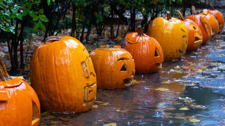 What The Old Farmer's Almanac Predicts For Fall Precipitation In Your ...