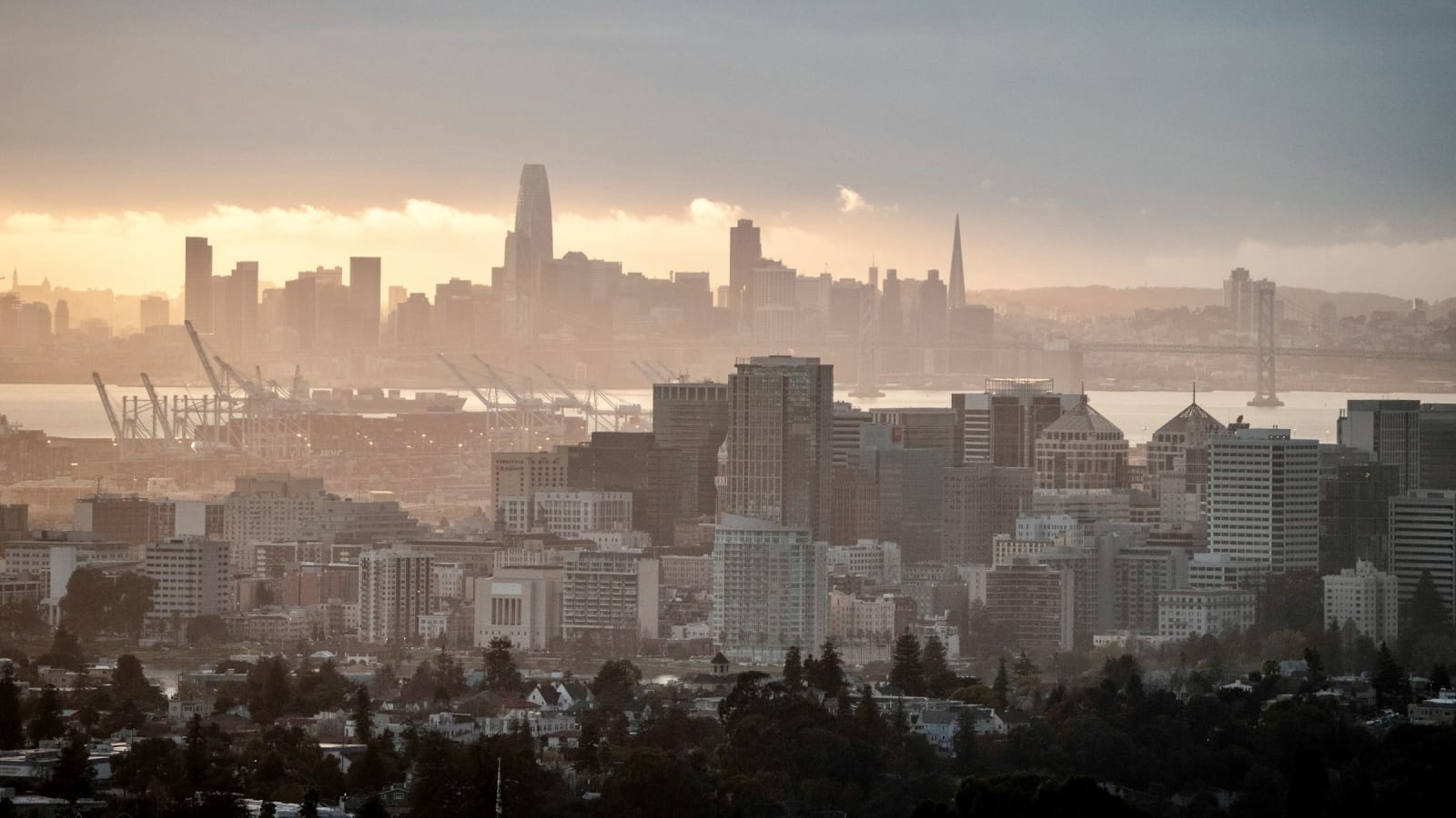 Earthquake Swarm Stuns San Francisco Bay Area: Was This Sudden Tremor a ...