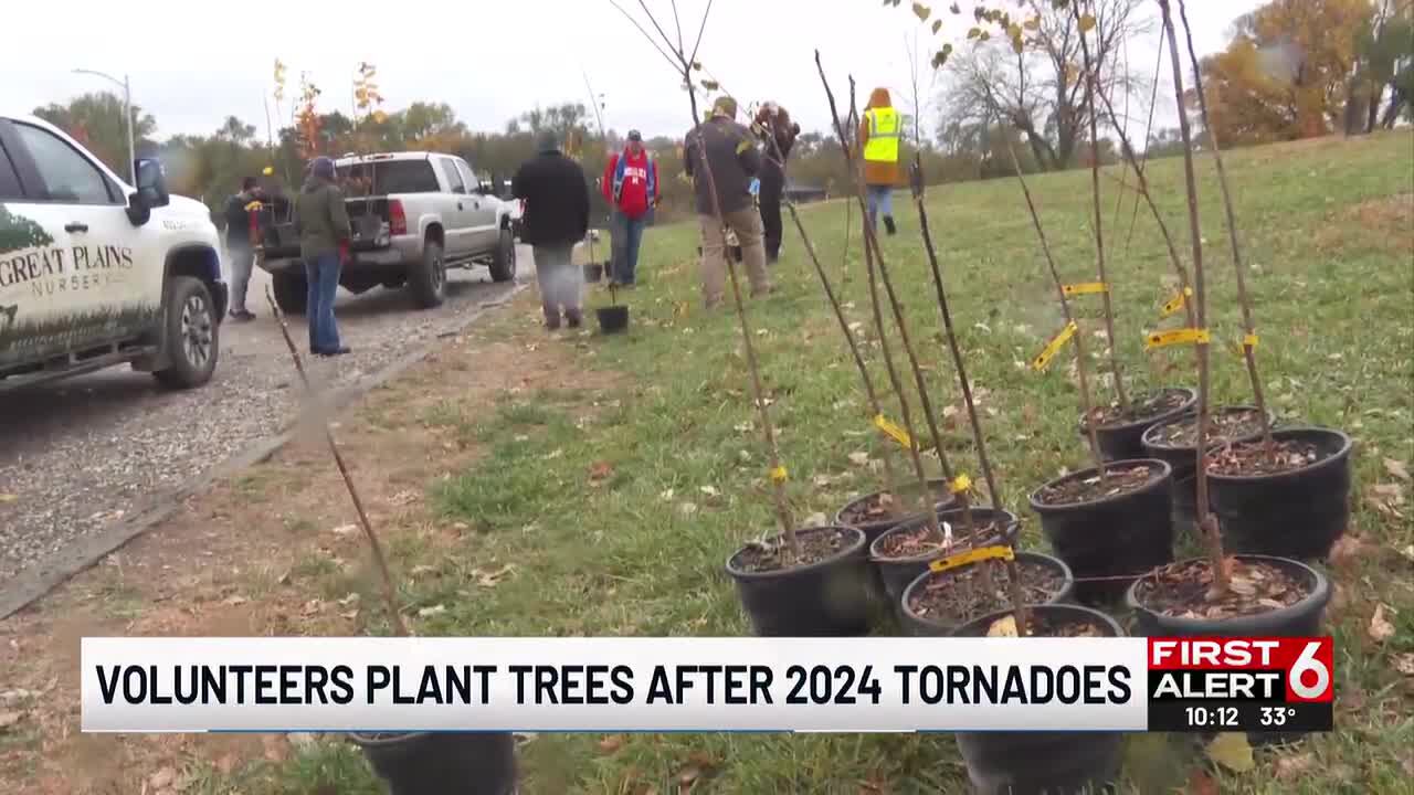 Volunteers work to restore trees in Elkhorn in wake of 2024 Arbor Day ...