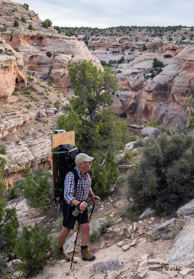 Artist and explorer Tony Foster hopes his work moves people to protect ...