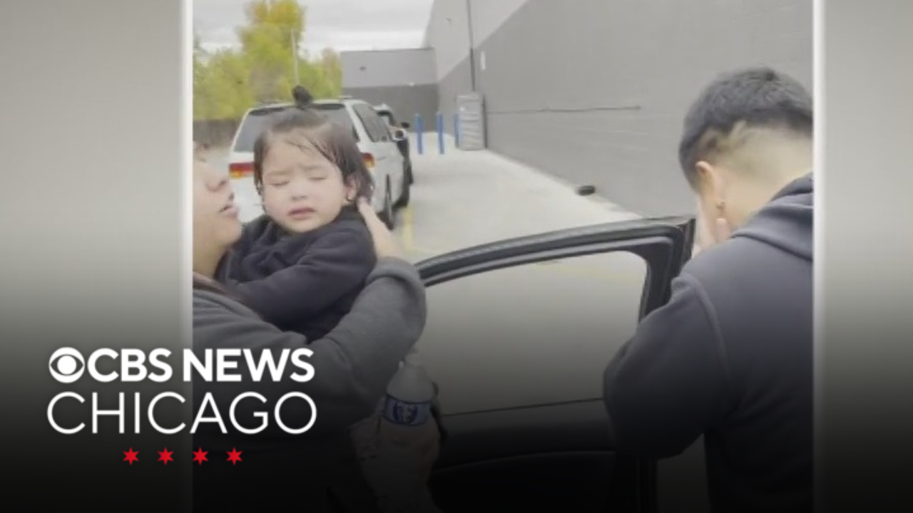 Video captures moment federal agents threw irritants into car with baby ...