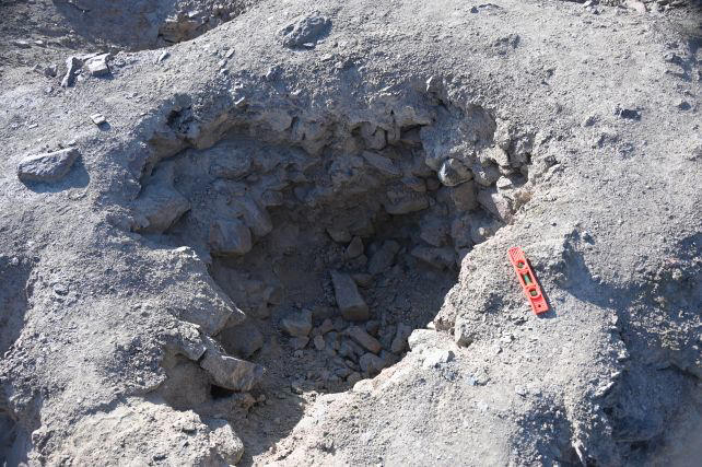 We May Finally Know The Purpose of 5,200 Mystery Holes in Peru