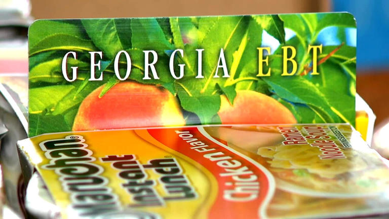 Georgia SNAP recipients to get partial benefits