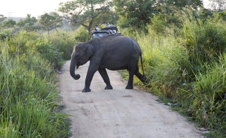 I rode Sri Lanka’s longest train journey – it was cheaper than a beer