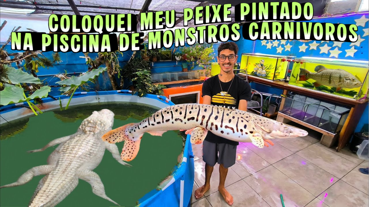 Meu Novo Peixe Monstro Super Raro na Piscina de Predadores